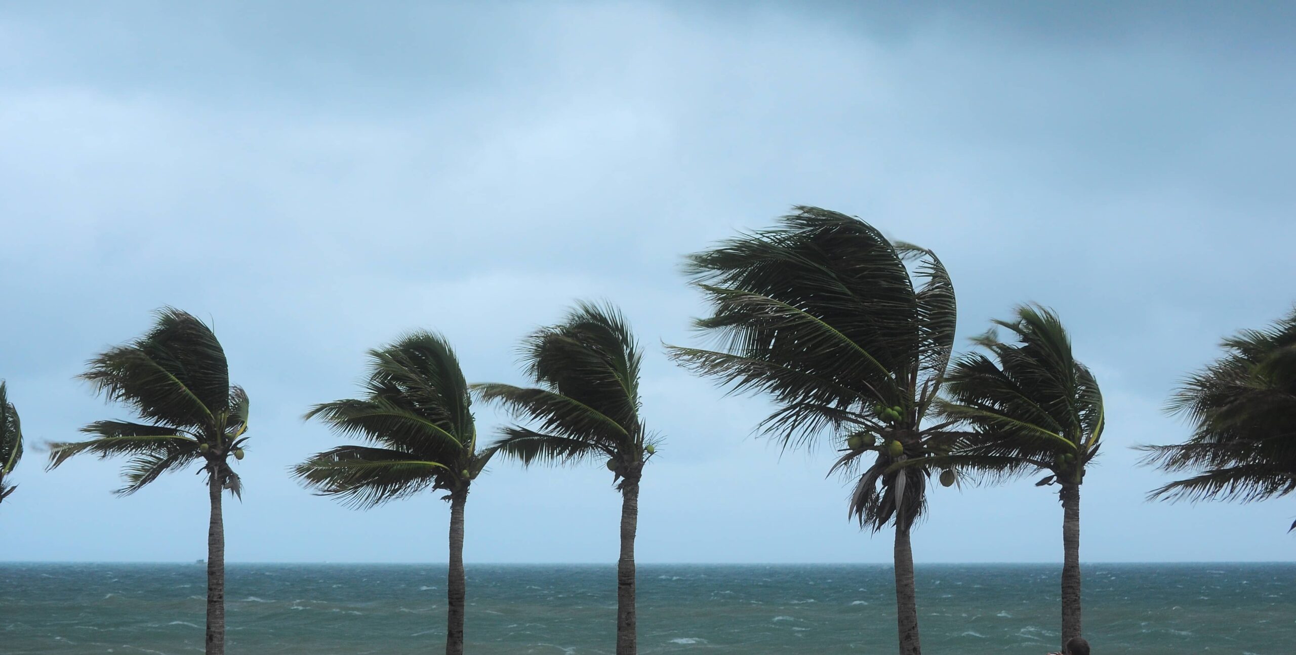 Disasters and Donors, Part III: Hurricanes | The Amit Raizada Foundation
